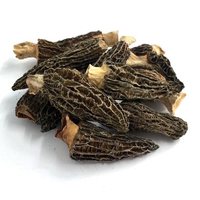 Premium Dried Morel Mushrooms | bxfood