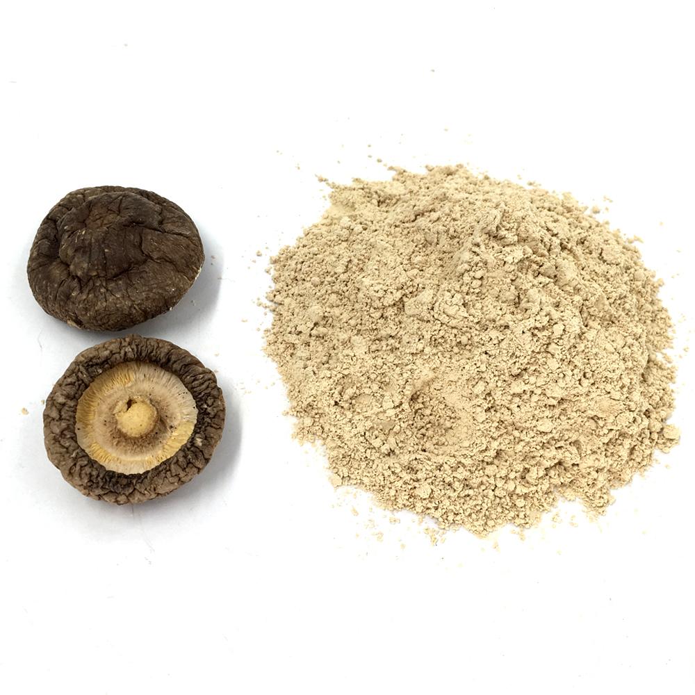 Dried Shiitake Mushroom Extract Powder | bxfood