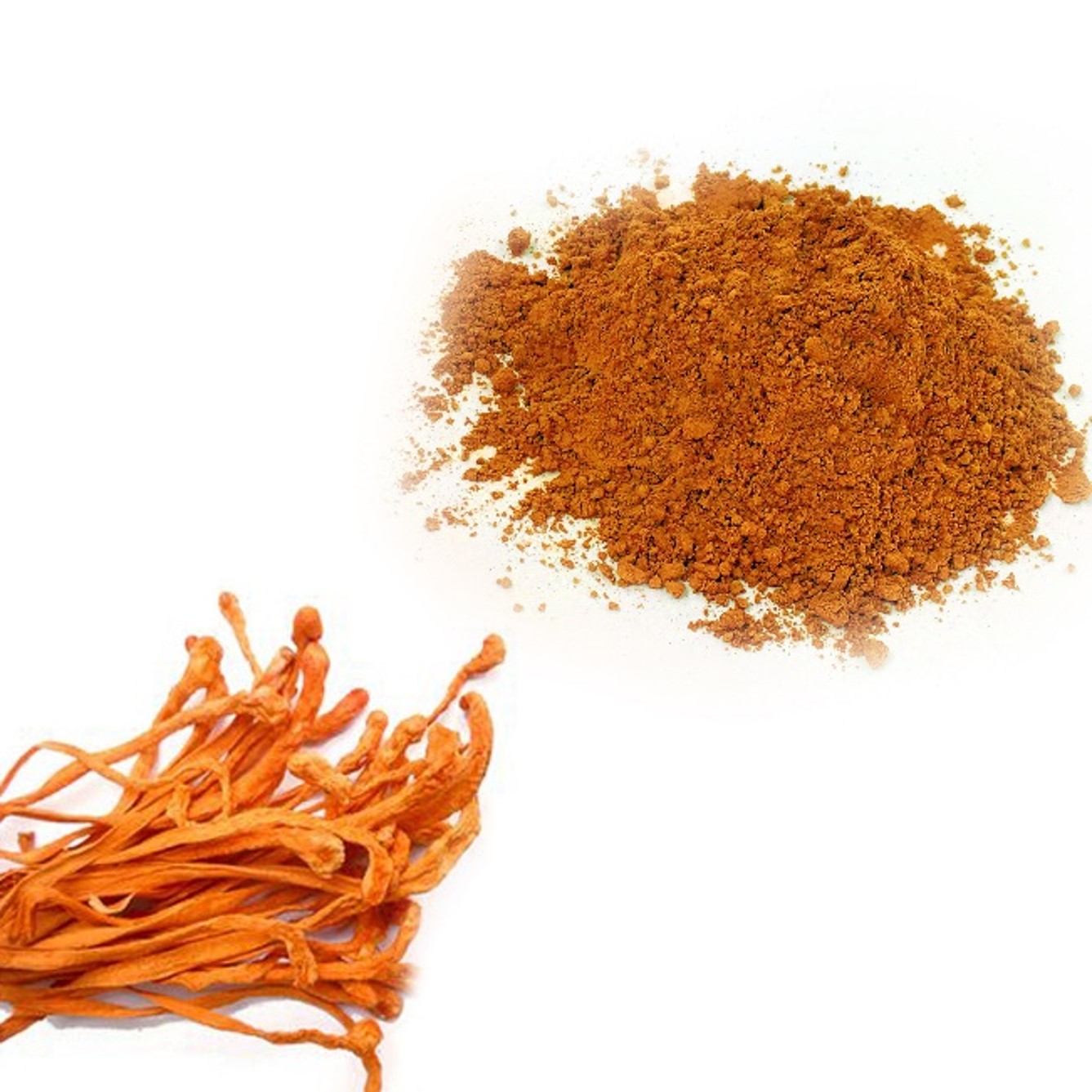 Premium Dried Cordyceps Powder | bxfood