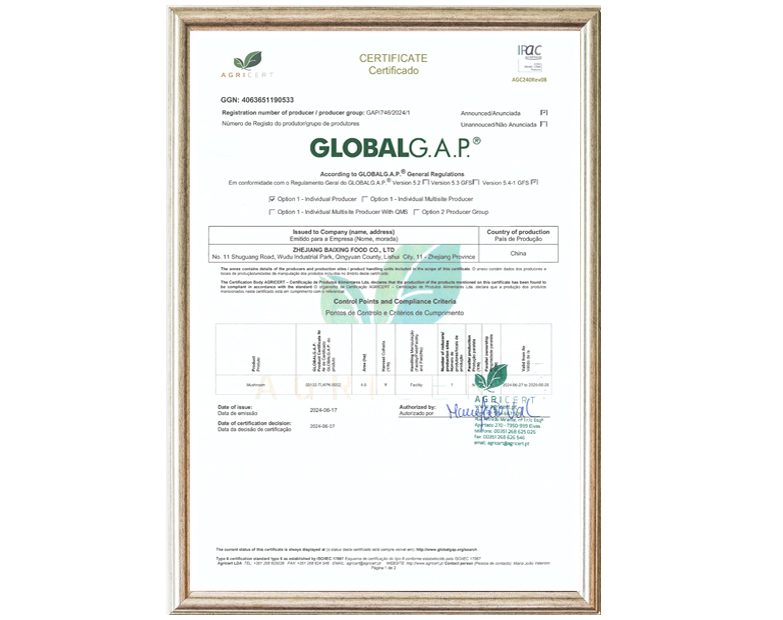 Focus on Mushrooms production OEM ODM Supplier | BaiXing Food