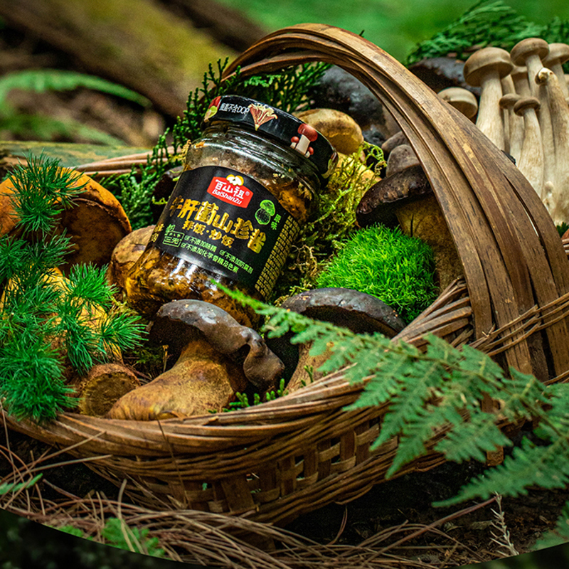 Premium Porcini Mushroom Sauce | bxfood