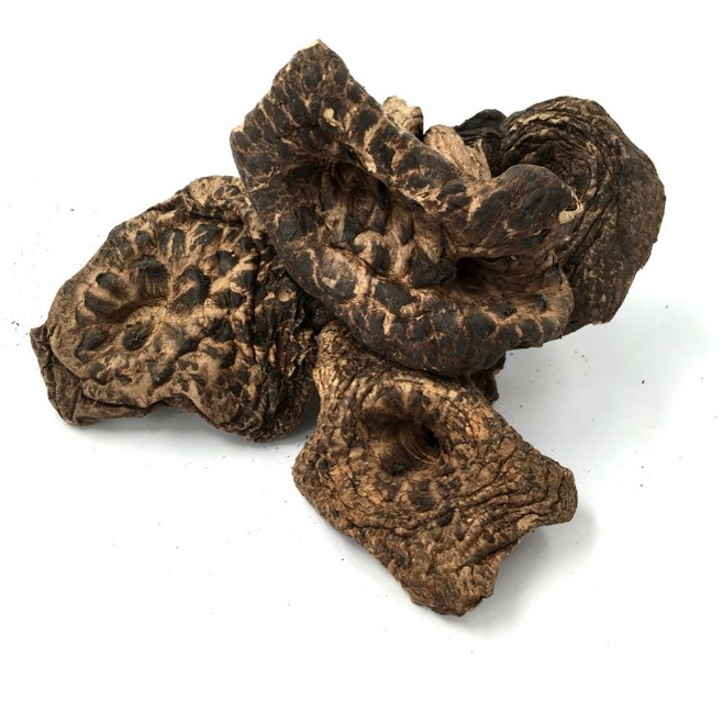 Dried Black Tiger Palm Mushroom | Premium Quality | bxfood