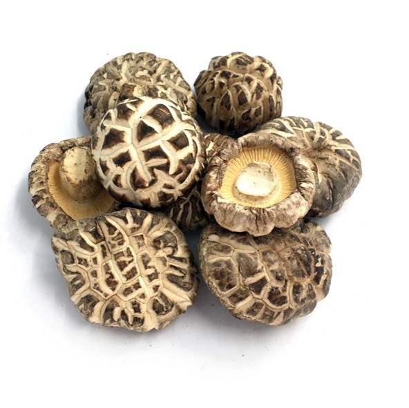 Focus on Mushrooms production OEM ODM Supplier | BaiXing Food